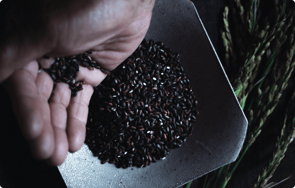 発酵科学スキンケア FAS